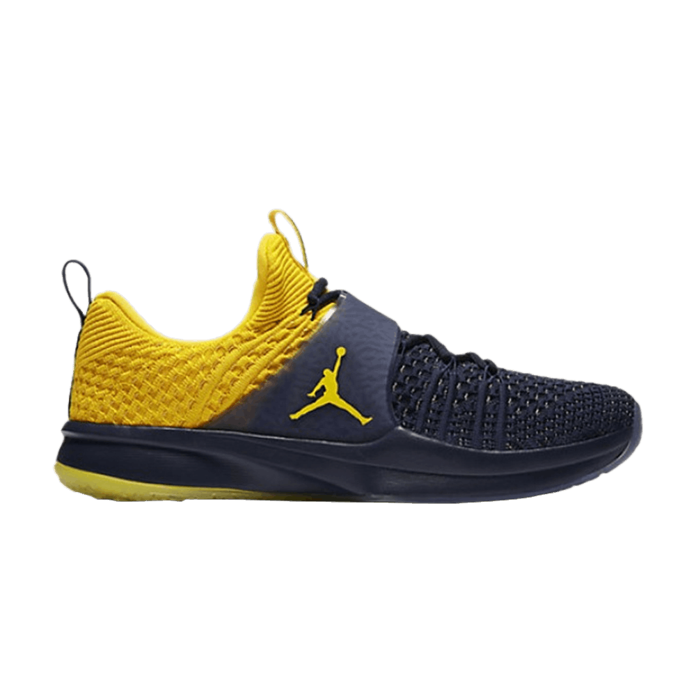 Jordan Trainer 2 Flyknit 'Michigan' - Air Jordan - 921210 407 | GOAT