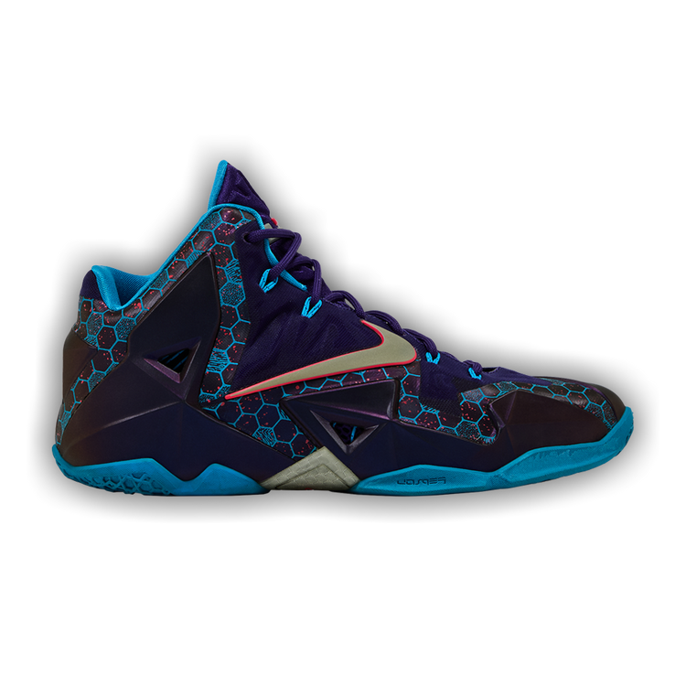 lebron hornets