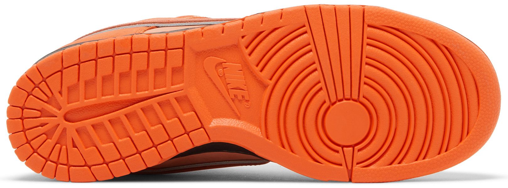 Buy Concepts x Nike Dunk Low SB 'Orange Lobster' - FD8776 800 | GOAT
