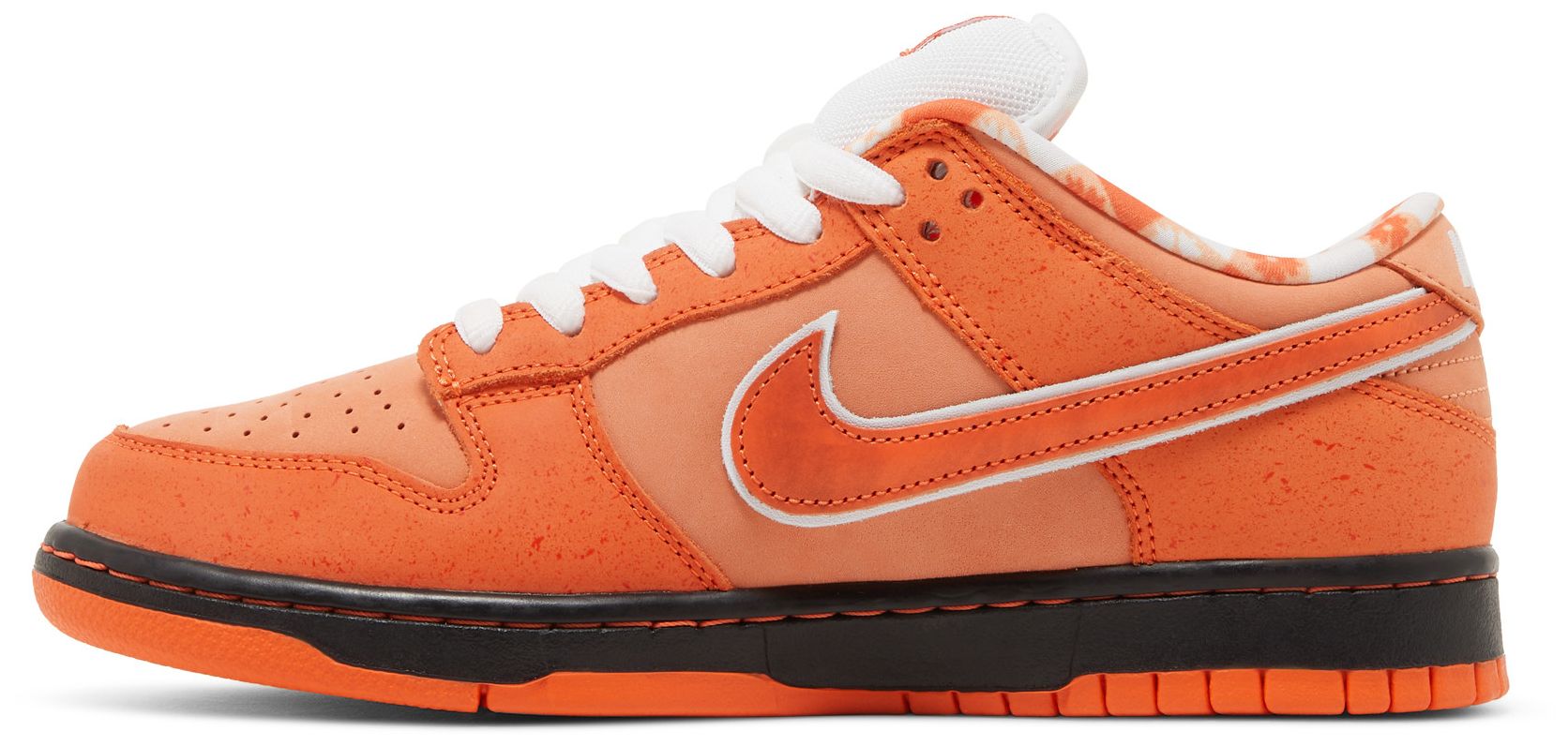 Buy Concepts X Dunk Low Sb Orange Lobster Fd8776 800 Goat