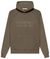 Buy Fear of God Essentials Hoodie 'Wood' - 192SU222054F | GOAT