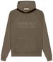 Buy Fear of God Essentials Hoodie 'Wood' - 192SU222054F | GOAT