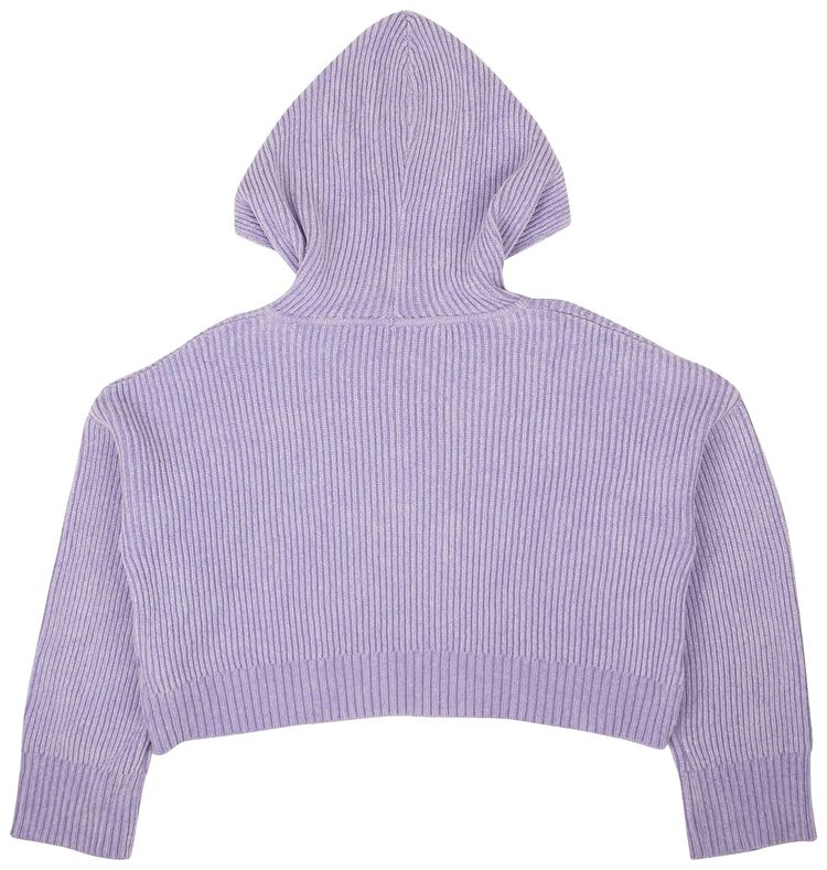 Buy Palm Angels PXP Sweater Ribbed Cropped Hoodie 'Purple ...