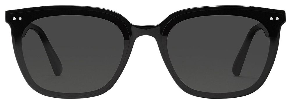 Buy Gentle Monster Heizer 01 Sunglasses 'Black' - HEIZER 01 BLAC | GOAT