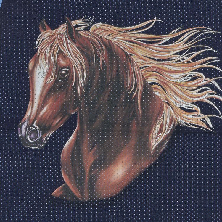 Buy Supreme Mustang Reversible Basketball Jersey 'Navy' - SS23KN30 NAVY ...