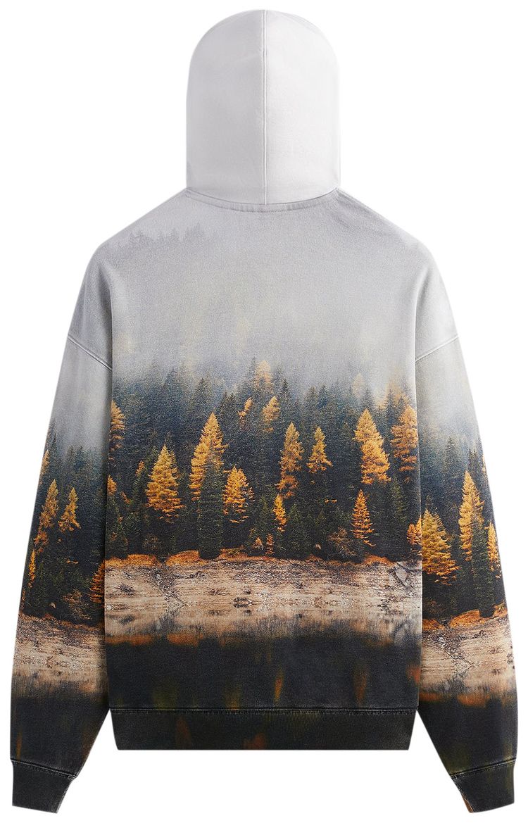 Buy Kith Woodland Nelson Hoodie 'Pacify' - KHM031509 162 | GOAT