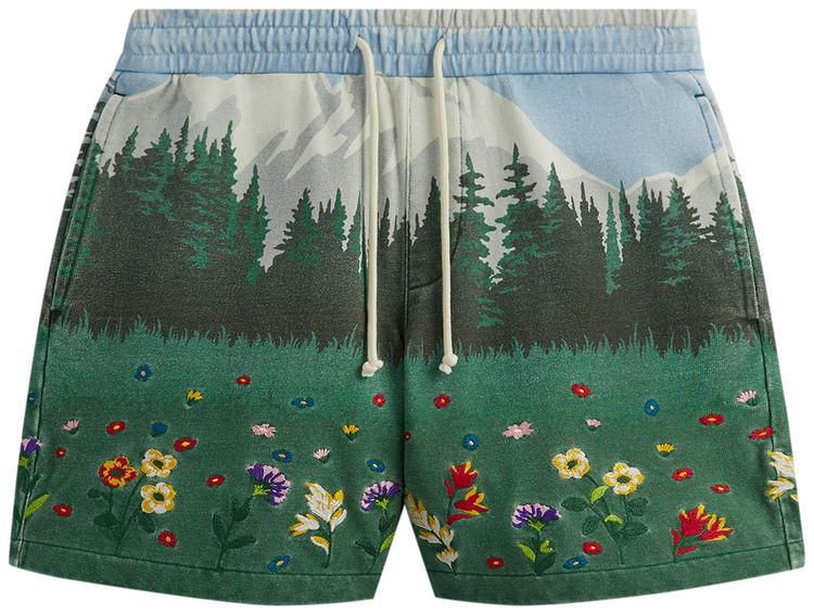 Buy Kith Scenic Fleece Curtis Short 'Larimar' - KHM060448 464 | GOAT