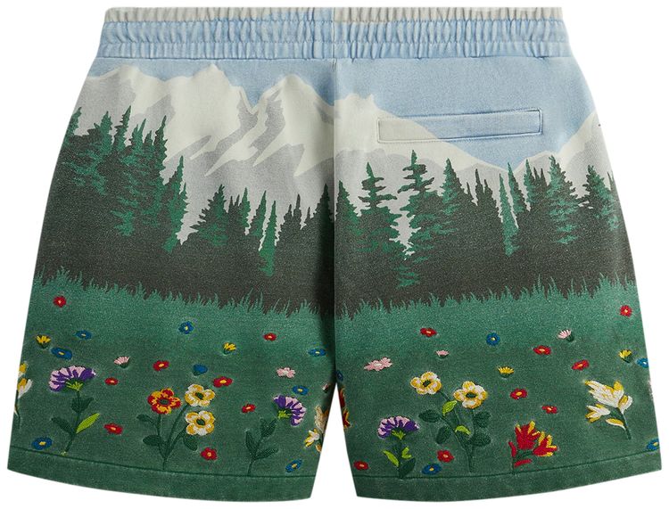 Buy Kith Scenic Fleece Curtis Short 'Larimar' - KHM060448 464 | GOAT