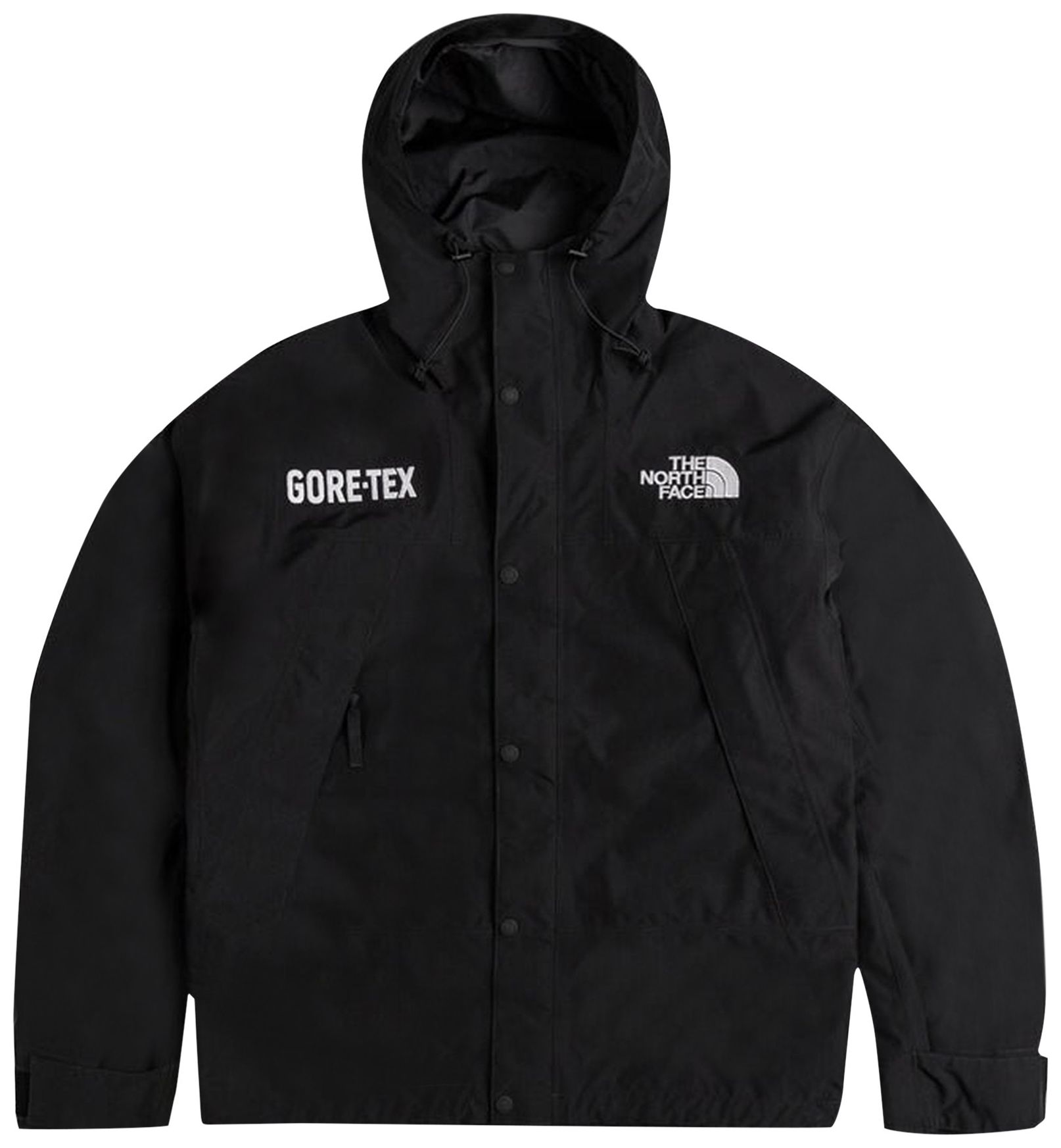 Buy The North Face GTX Mountain Jacket 'TNF Black' - NF0A831MJK3 | GOAT