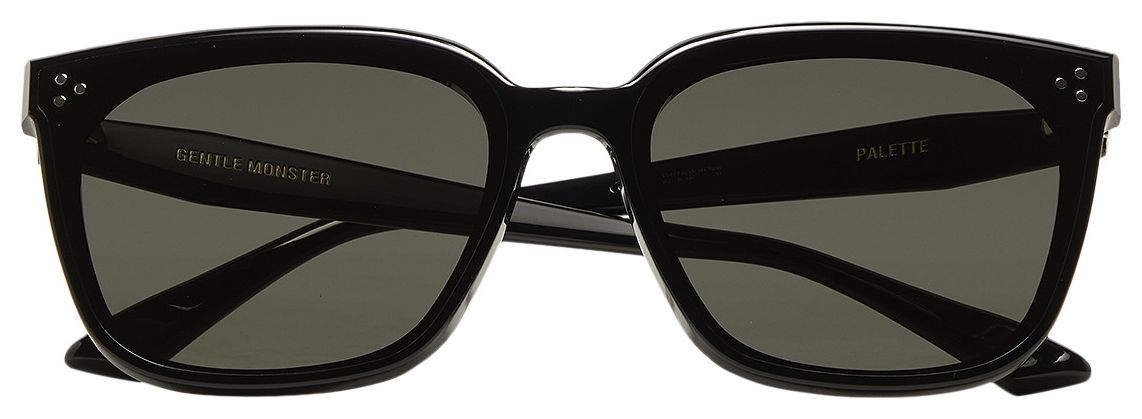 Buy Gentle Monster Palette 01 Sunglasses 'Black' - PALETTE 01 BLAC | GOAT