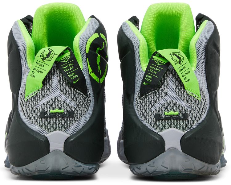 lebron 12 dunk force