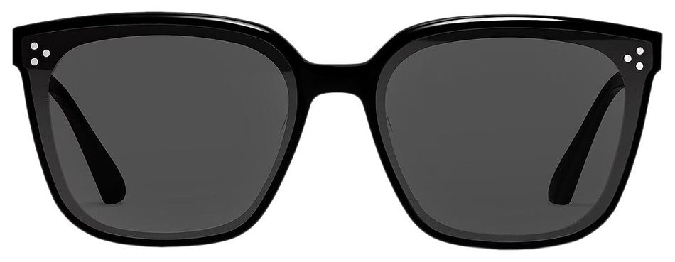 Buy Gentle Monster Palette 01 Small Sunglasses 'Black' - PALETTE S 01 ...