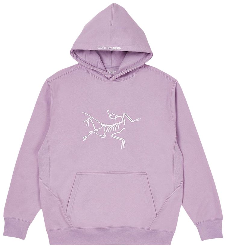 Buy Palace x Arc'teryx Hood 'Haze' - P19ARXHD005 | GOAT