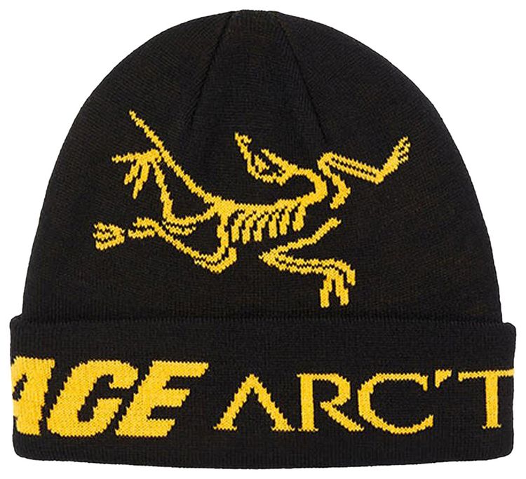 Buy Palace x Arc'teryx Beanie 'Black' - P19ARXBN001 | GOAT Buy Palace x Arc'teryx Beanie 'Black' - P19ARXBN001 | GOAT