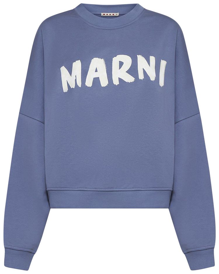 Buy Marni Logo Sweatshirt 'Shadow' - FLJE0185P2 USCU88 LOB36 | GOAT