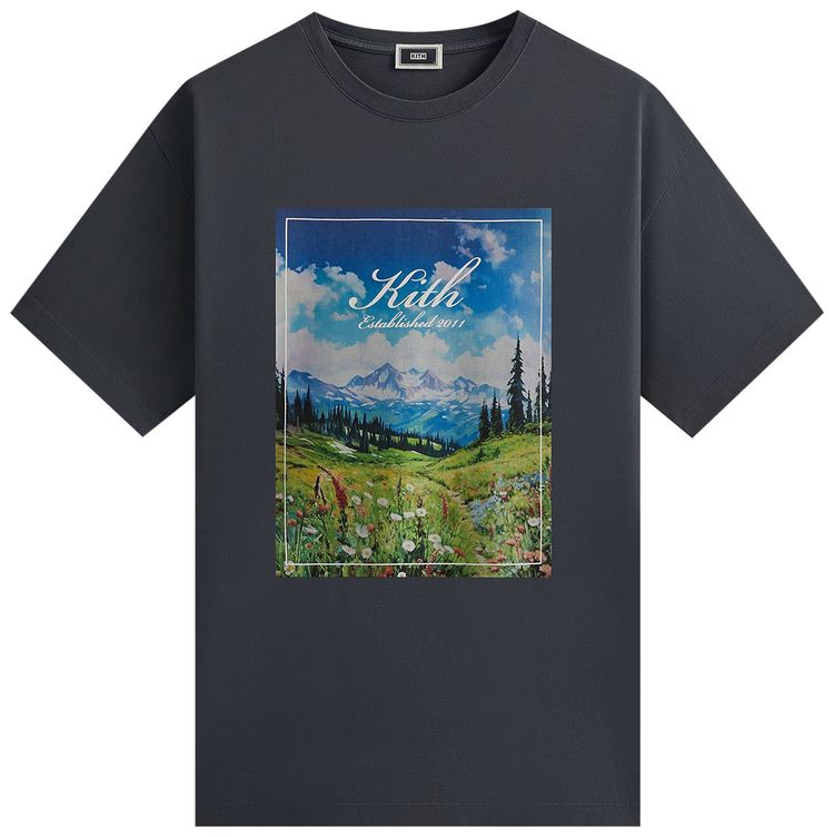 Buy Kith Landscape Vintage Tee 'Torpedo' - KHM032329 402 | GOAT