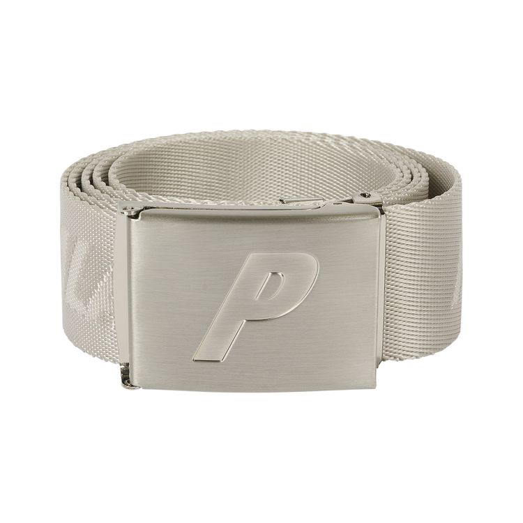 Buy Palace Skate Belt 'Grey' - P27ACC088 | GOAT