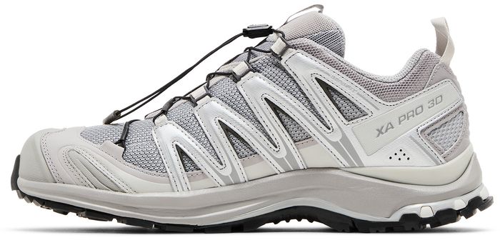 Buy Salomon XA Pro 3D 'Alloy Silver' - L41617500 | GOAT