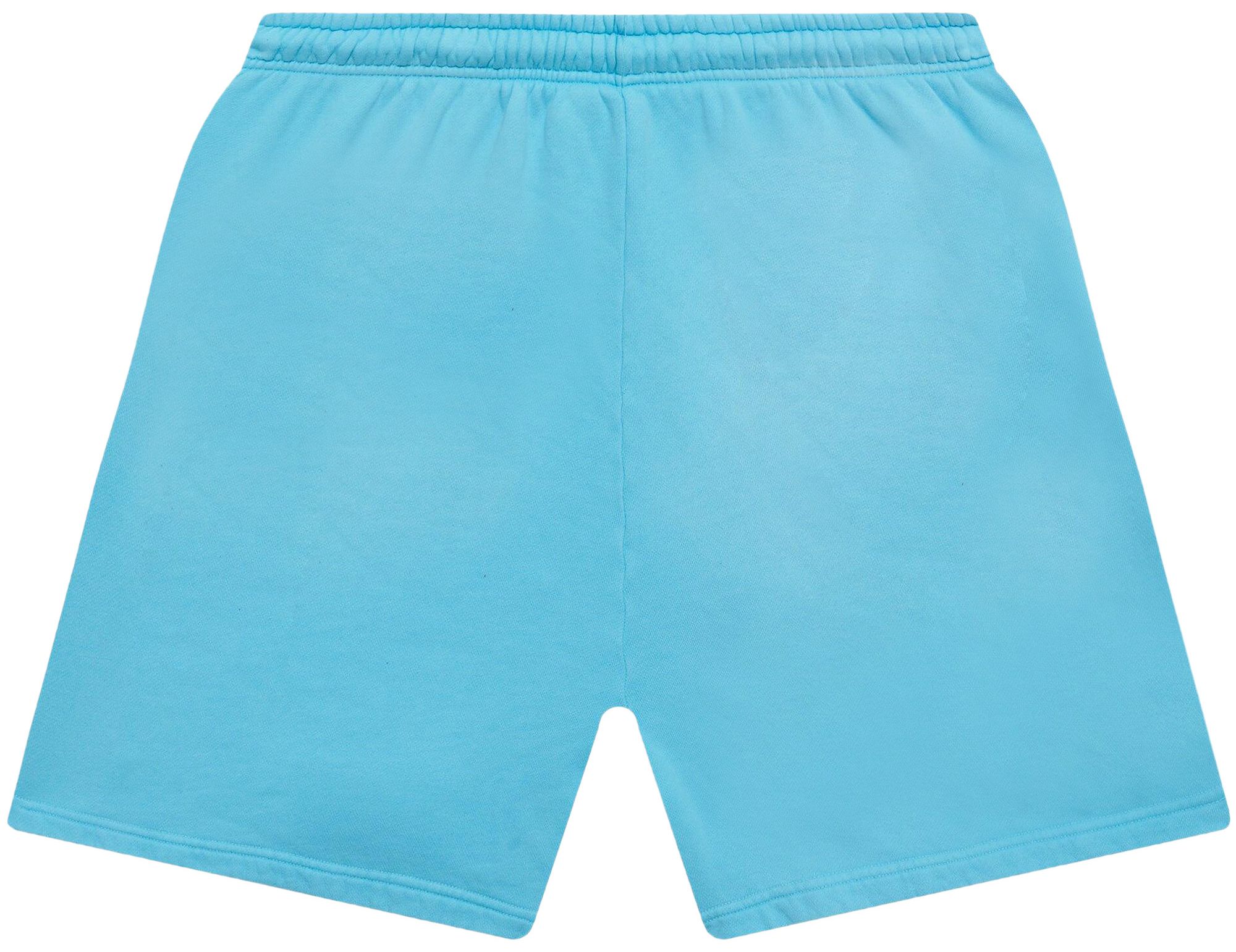 Buy Hellstar Studios Shorts 'Blue' - HS03SH001 BLUE | GOAT