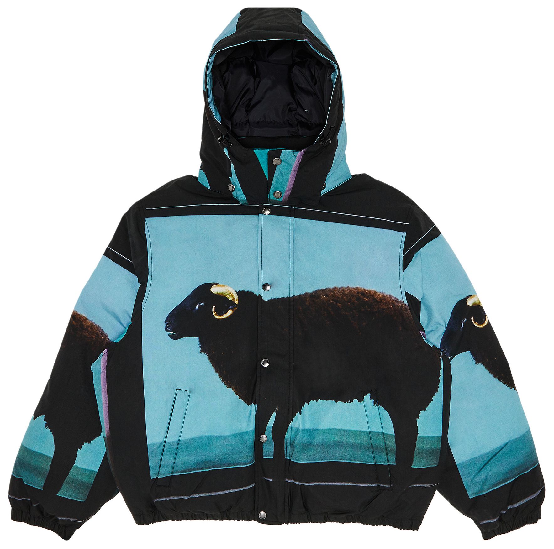 Buy Supreme x Damien Hirst Down Puffer Jacket 'Black' - SS25J19 BLACK ...