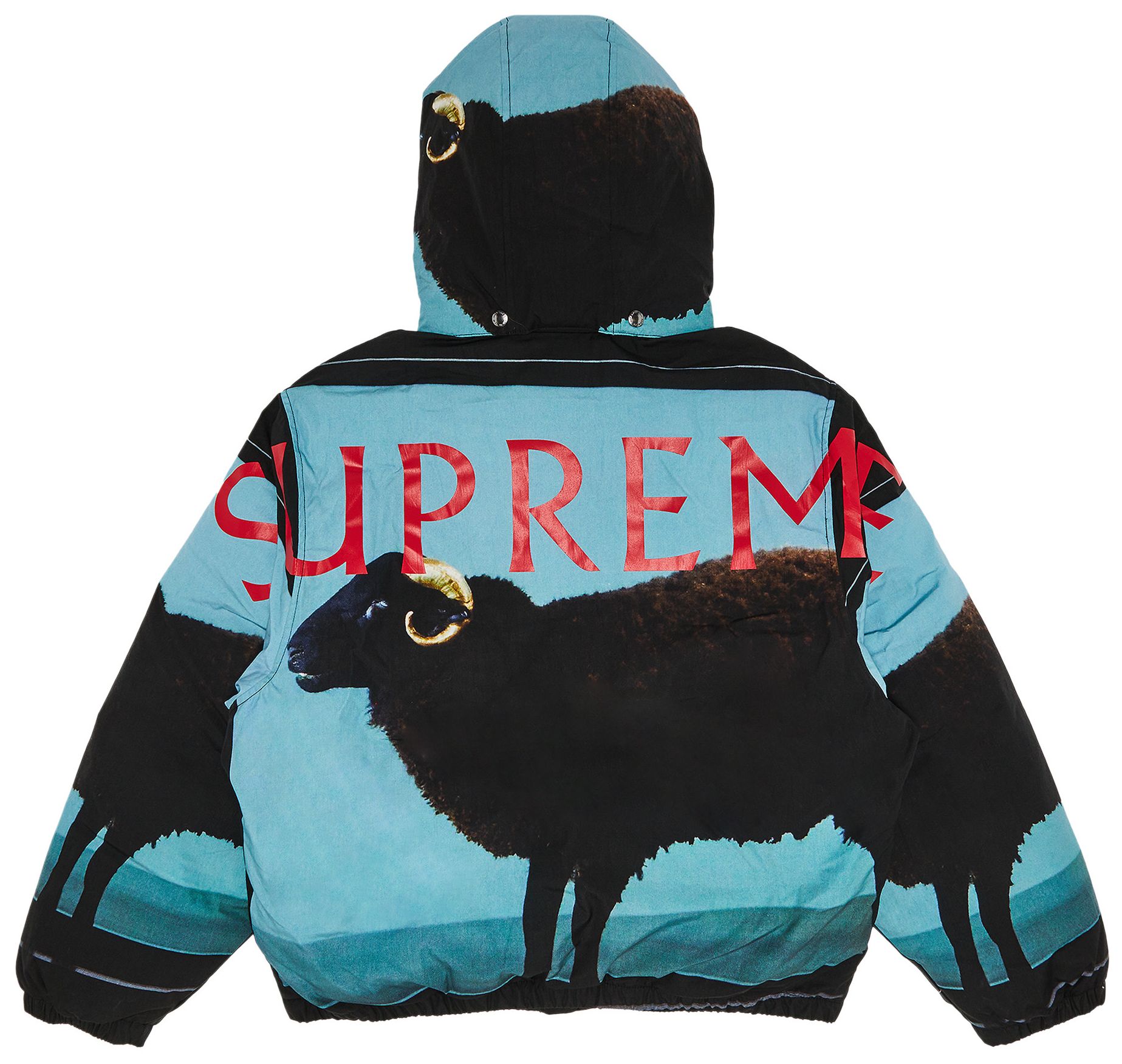Buy Supreme x Damien Hirst Down Puffer Jacket 'Black' - SS25J19 BLACK ...