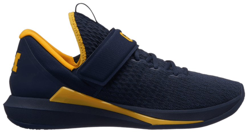 Buy Air Jordan Trainer 3 'Michigan Wolverines' - AR1391 400 | GOAT