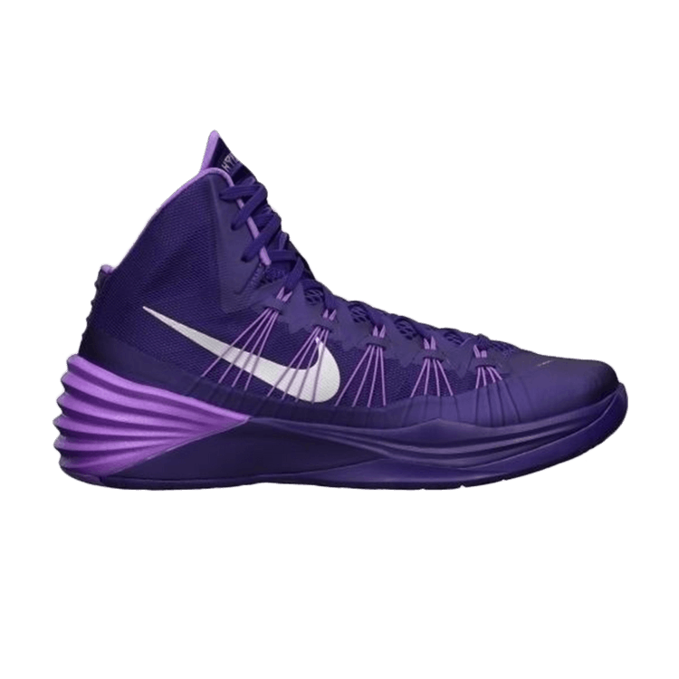 Buy Nike Zoom Hyperdunk 2013 TB 'Dark Purple' - 584433 500 | GOAT