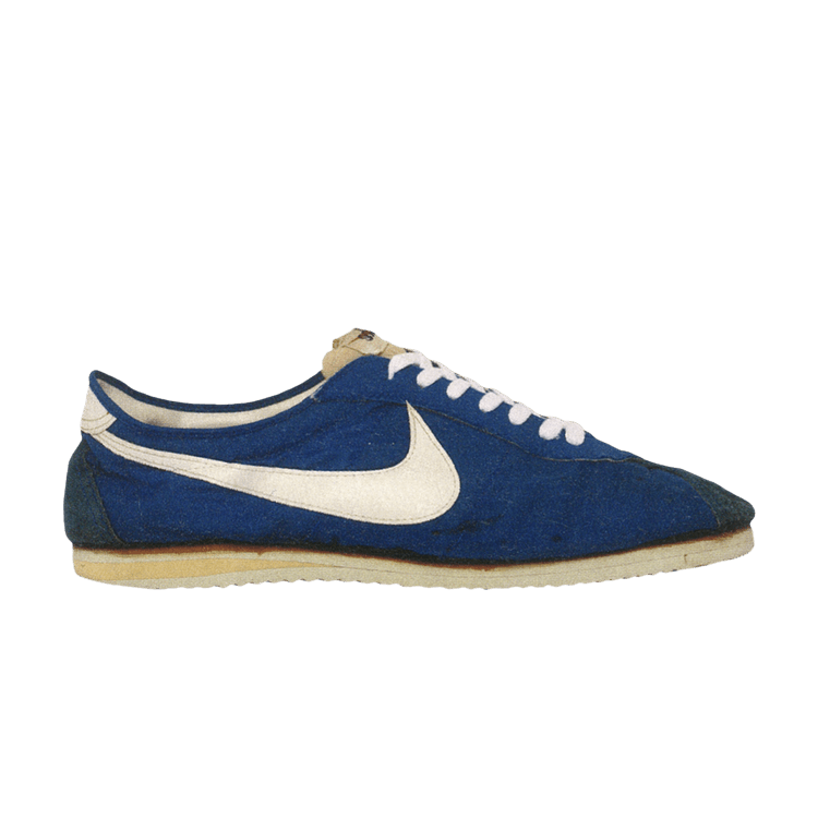 Buy Nike Wayne Wells Trainer 'Finland Blue' - 2110 | GOAT