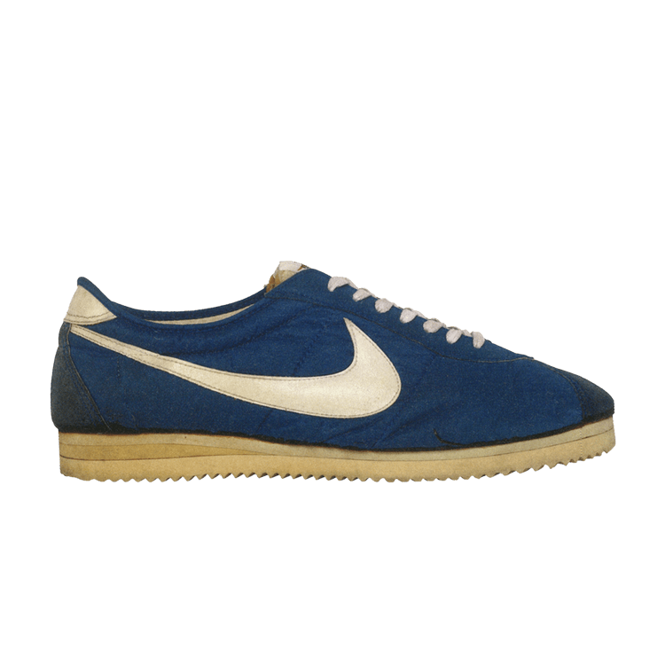 Buy Nike Wayne Wells Trainer 'Blue' - 5310 | GOAT