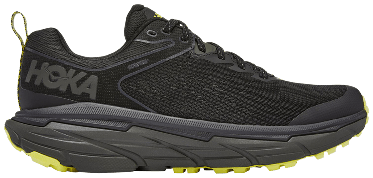 Buy Challenger ATR 6 GORE-TEX 'Black Olive' - 1116876 BBOLV | GOAT