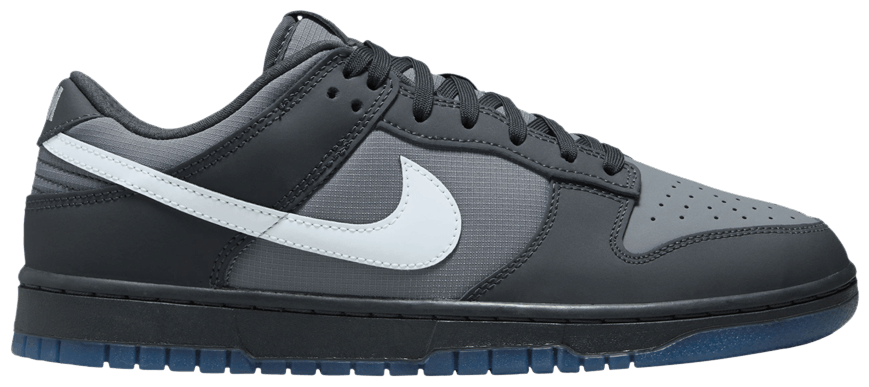 Buy Dunk Low 'Anthracite' - FV0384 001 | GOAT