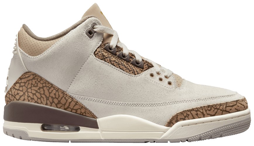 Buy Air Jordan 3 Retro 'Palomino' Sample - CT8532 102 00 VW1 | GOAT