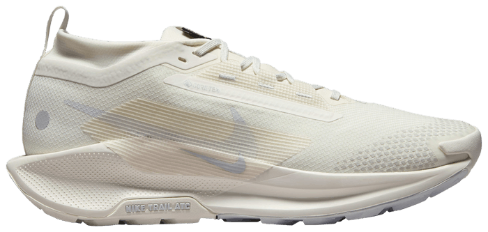 Buy Nike Pegasus Trail 5 GORE-TEX 'Photon Dust' - FQ0908 101 | GOAT
