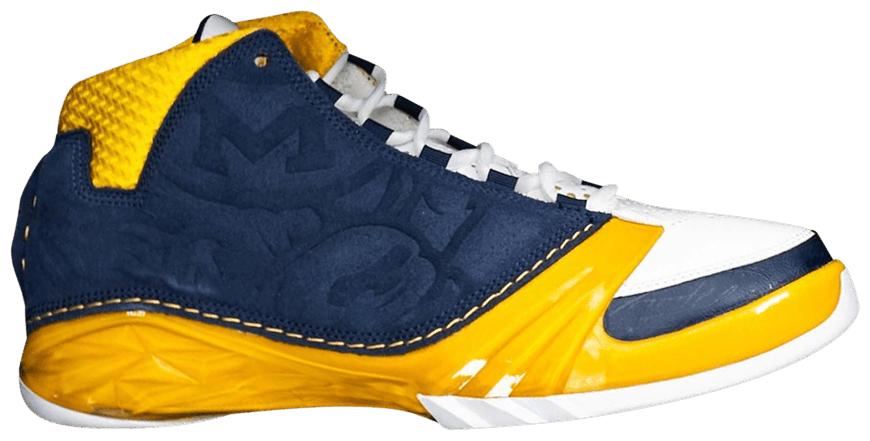 Buy Air Jordan 23 Retro Promo 'Michigan Wolverines' PE - FV1334 400 | GOAT