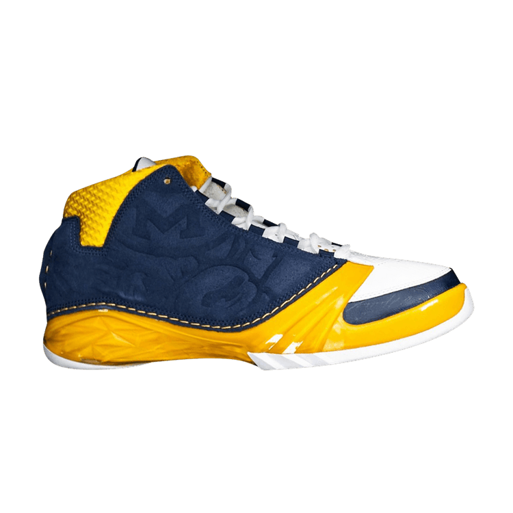Buy Air Jordan 23 Retro Promo 'Michigan Wolverines' PE - FV1334 400 | GOAT