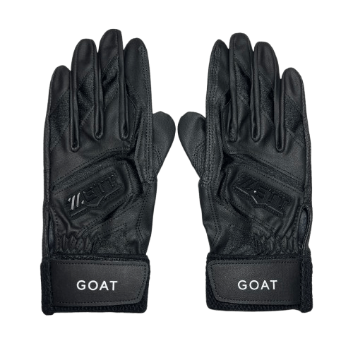 Buy GOAT Logo Batting Glove Black - 889-02 | GOAT